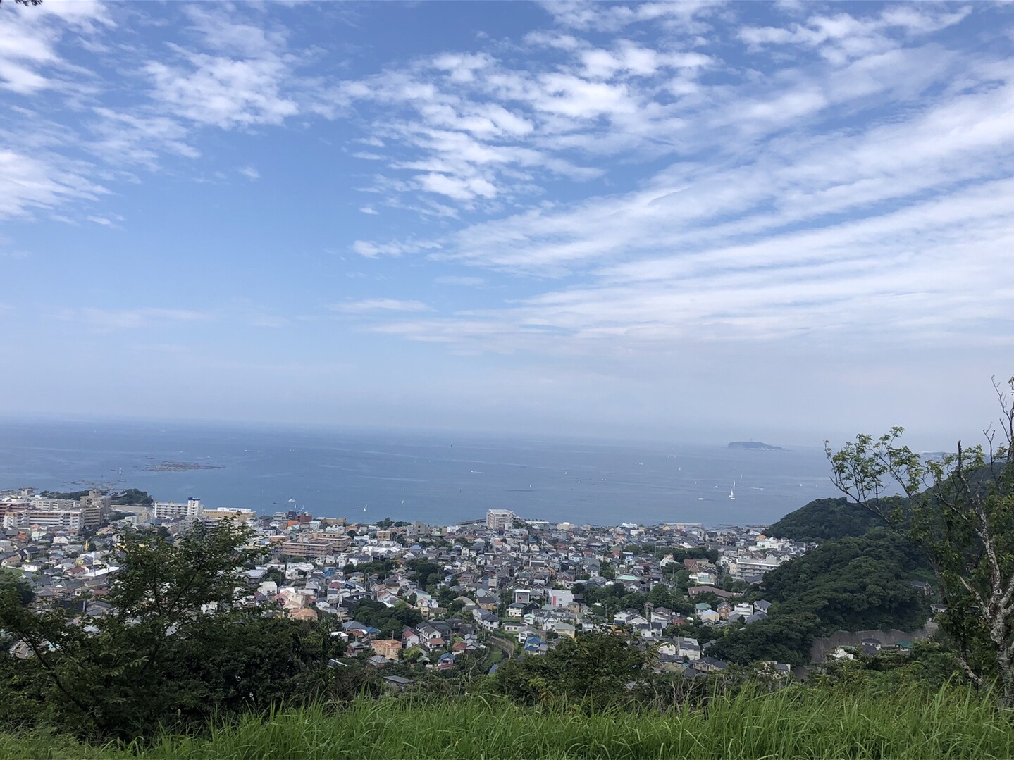 仙元山・ソッカ・二子山（上の山） / ms1967さんの三浦アルプス・二子山・仙元山の活動データ | YAMAP / ヤマップ