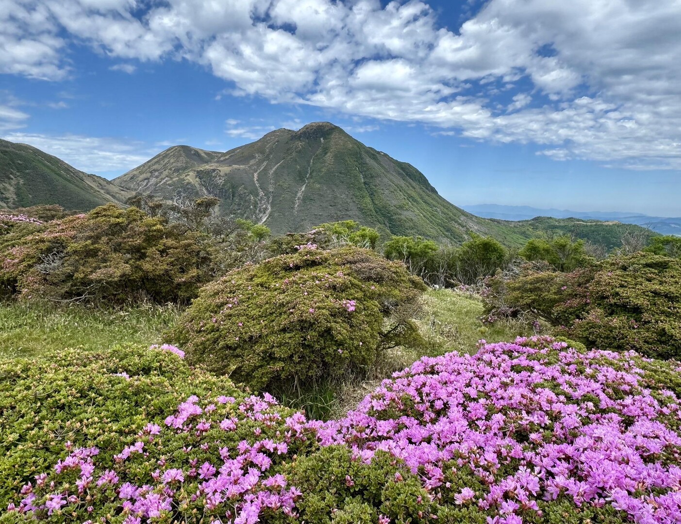 久住山🌸1Dayくじゅう17サミッツ / リトルスターさんの九重山（久住山）・大船山・星生山の活動データ | YAMAP / ヤマップ