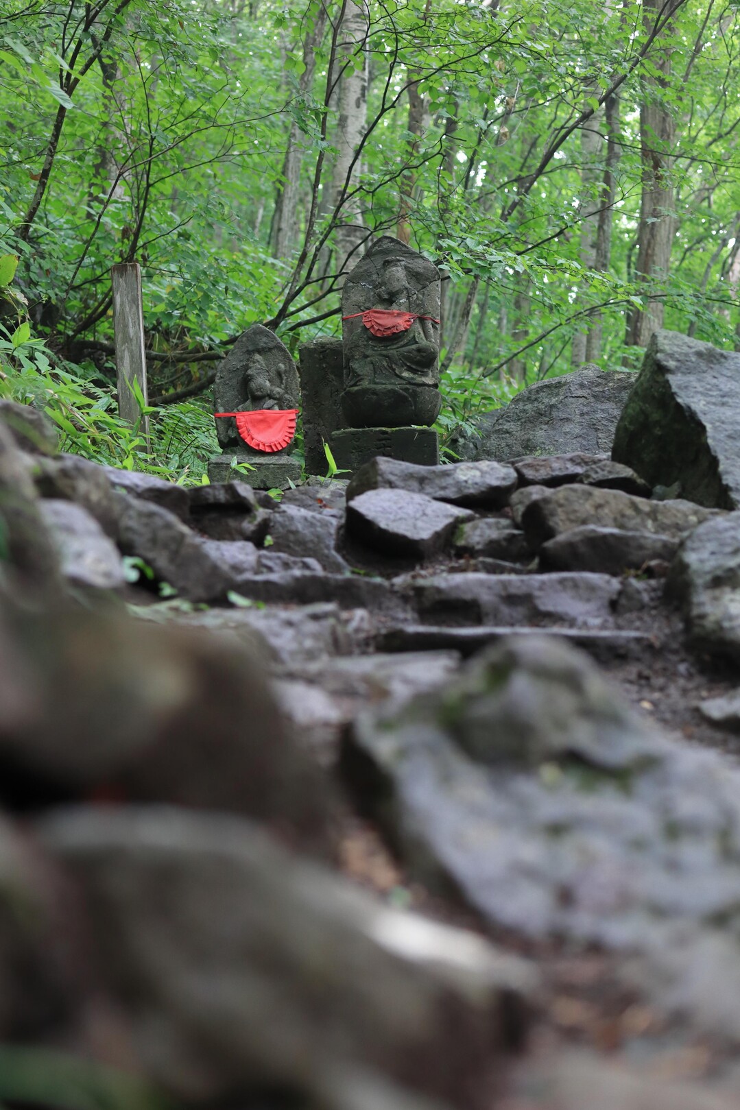 どっちなんだい？藻岩山 / kojiyadさんの藻岩山の活動データ | YAMAP / ヤマップ