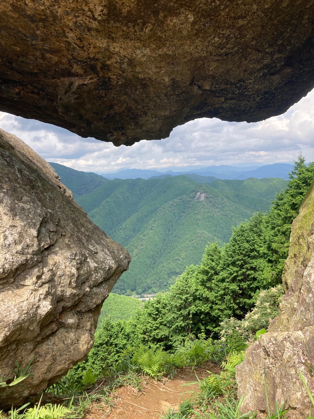 金山（ソロ）😊たった3kmを道迷い⭐️ / a_ya_あやさんの金山の活動日記 | YAMAP / ヤマップ