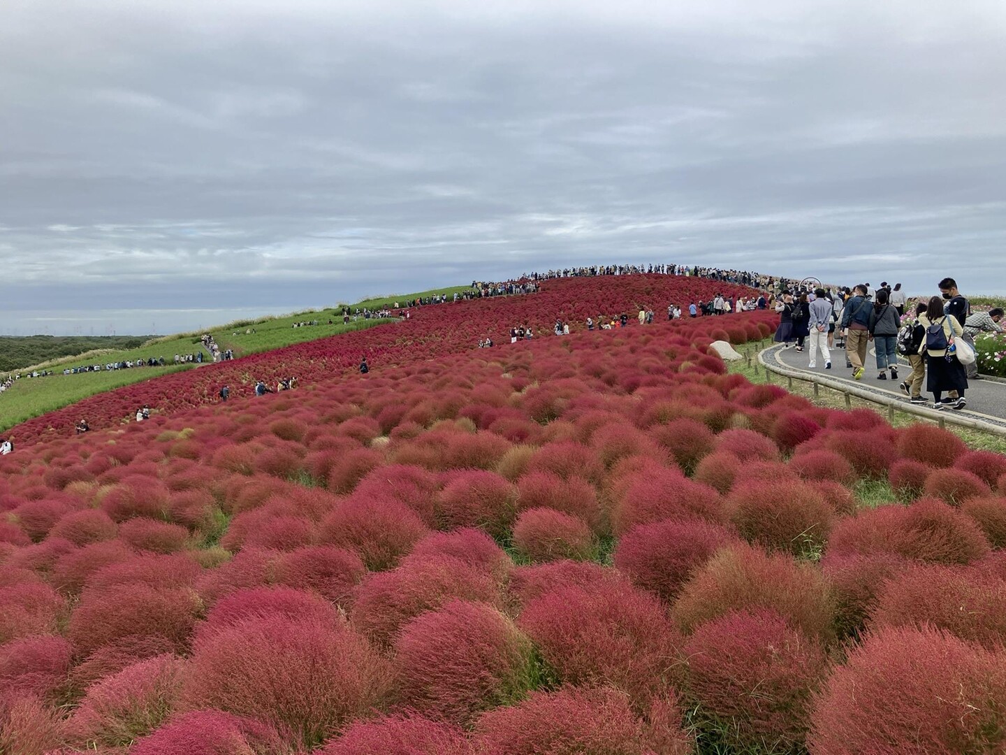 本日のお山です♪ / 727Kさんのモーメント | YAMAP / ヤマップ