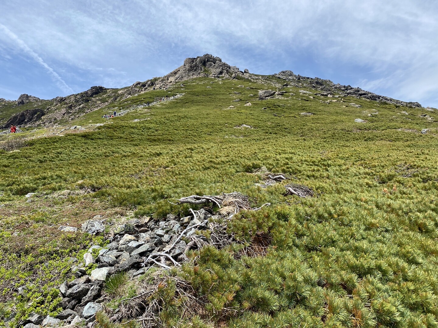 期待以上の早池峰山🌼 / yamayokoさんの早池峰山・薬師岳・鶏頭山の活動データ | YAMAP / ヤマップ