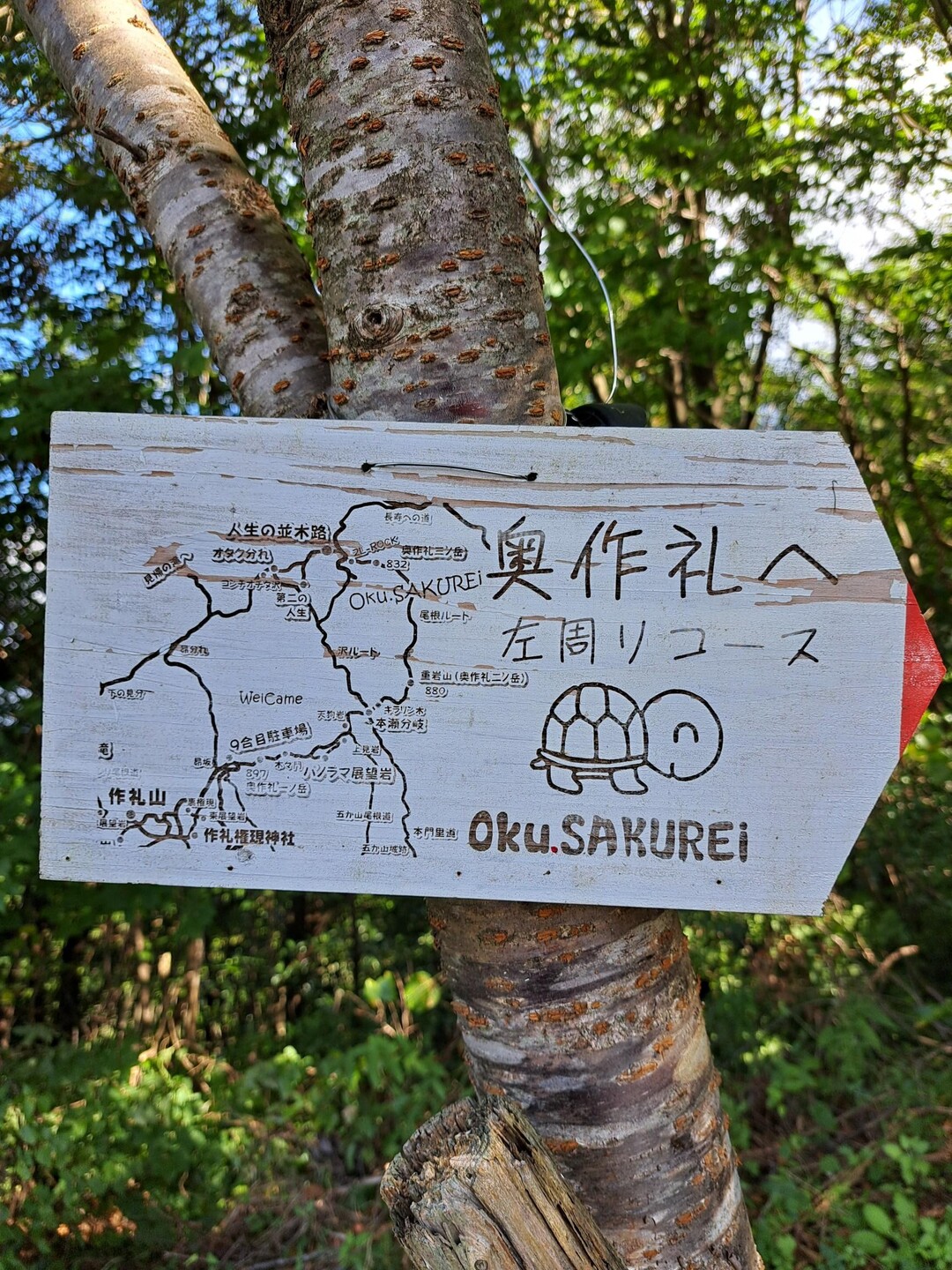 897ピーク・作礼山・作礼山東峰（権現山） / nikoyamaさんの作礼山の活動データ | YAMAP / ヤマップ