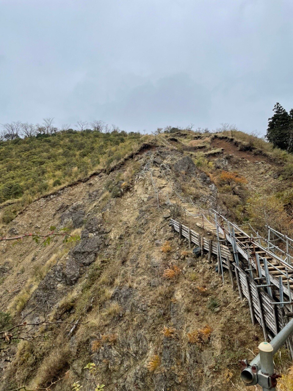 塔ノ岳・木ノ又大日・新大日・政次郎ノ頭 / tykmktさんの塔ノ岳・丹沢山・蛭ヶ岳の活動データ | YAMAP / ヤマップ