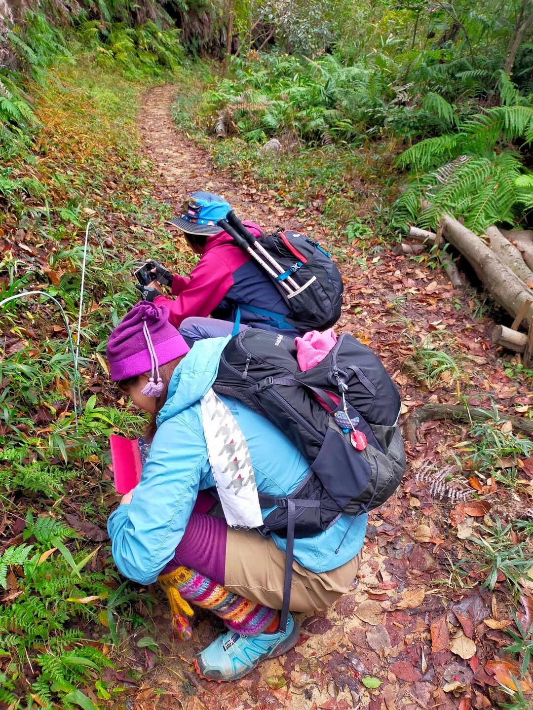 猫山🐈女子会💕 / marukoさんの四国遍路その19の活動データ | YAMAP / ヤマップ