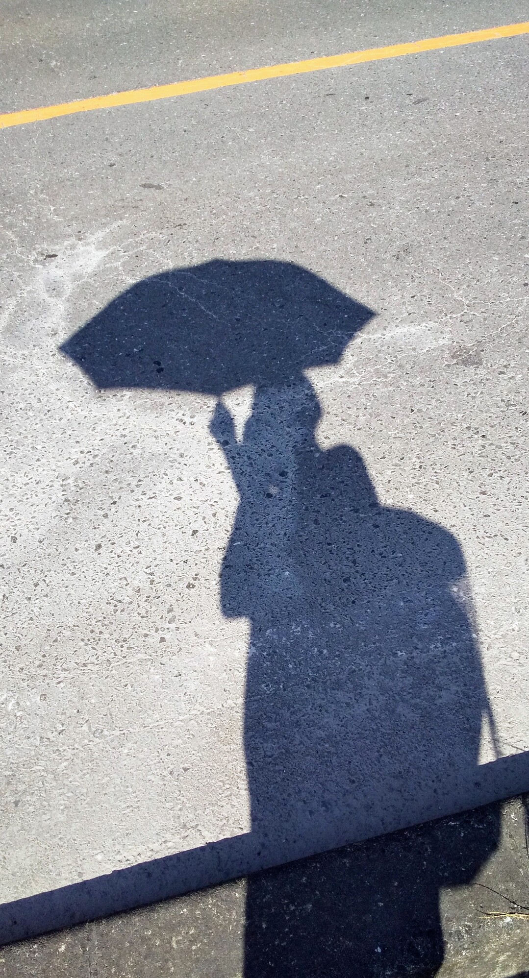 社会科見学のち登山 武甲山の表裏を知ったday / tabiさんの武甲山・伊豆ヶ岳・小持山の活動データ | YAMAP / ヤマップ