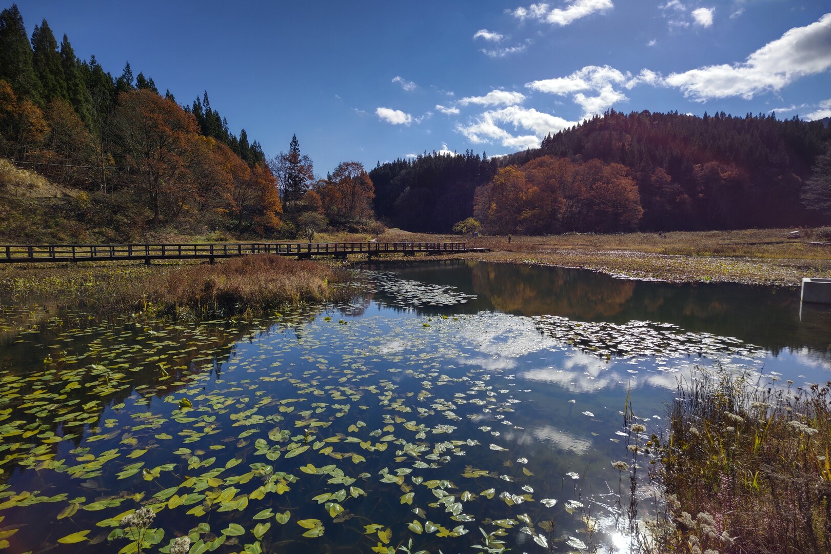 阿賀町-2021-11-17 / ikkoさんの阿賀町の活動データ | YAMAP / ヤマップ