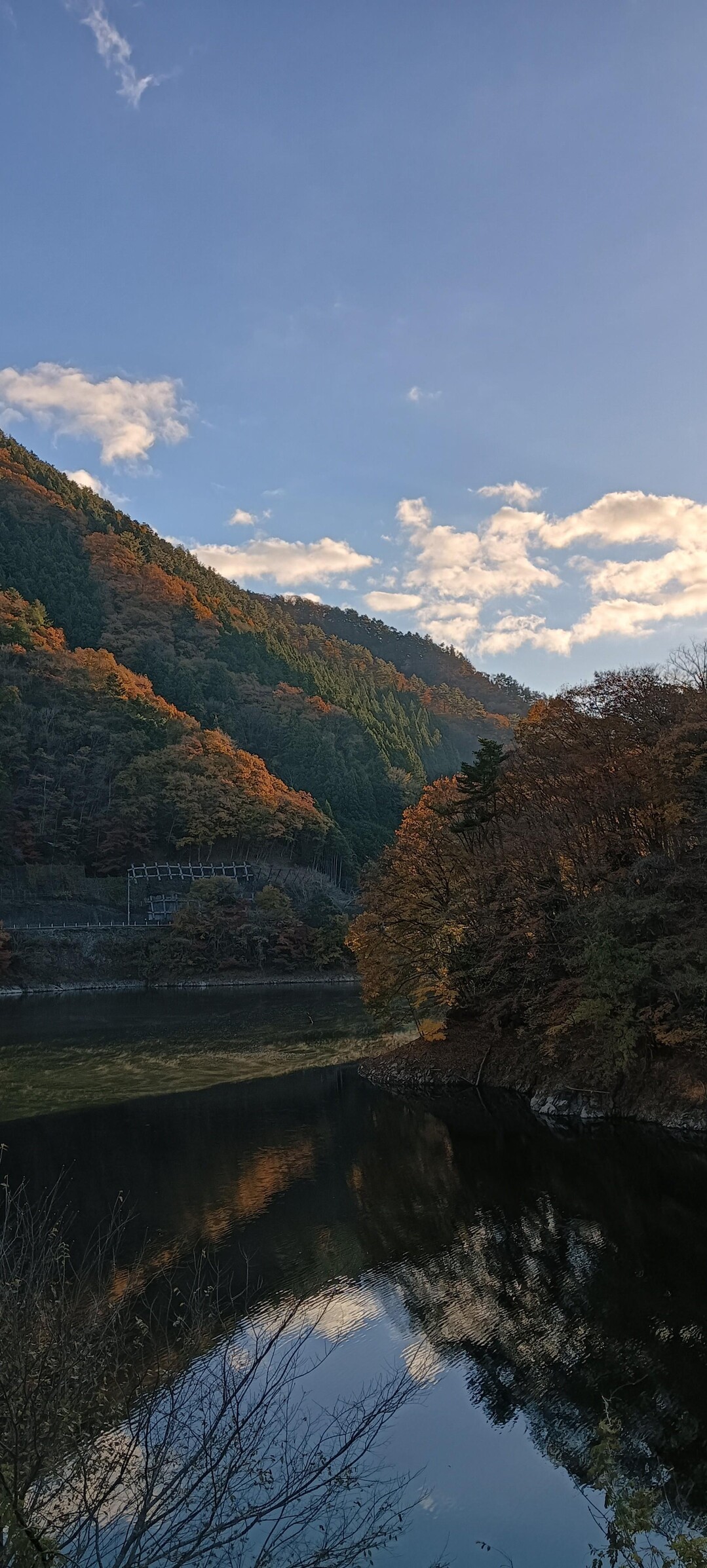 雲取山から石尾根縦走で奥多摩駅🚊まで歩く！ / nonnonさんの雲取山・鷹ノ巣山・七ツ石山の活動データ | YAMAP / ヤマップ
