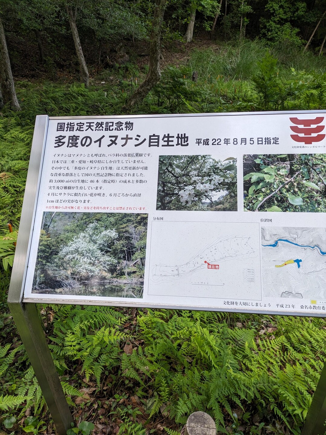 多度山・美濃松山・石津御嶽・黒石 / 2525さんの多度山・美濃松山・石津御嶽の活動データ | YAMAP / ヤマップ