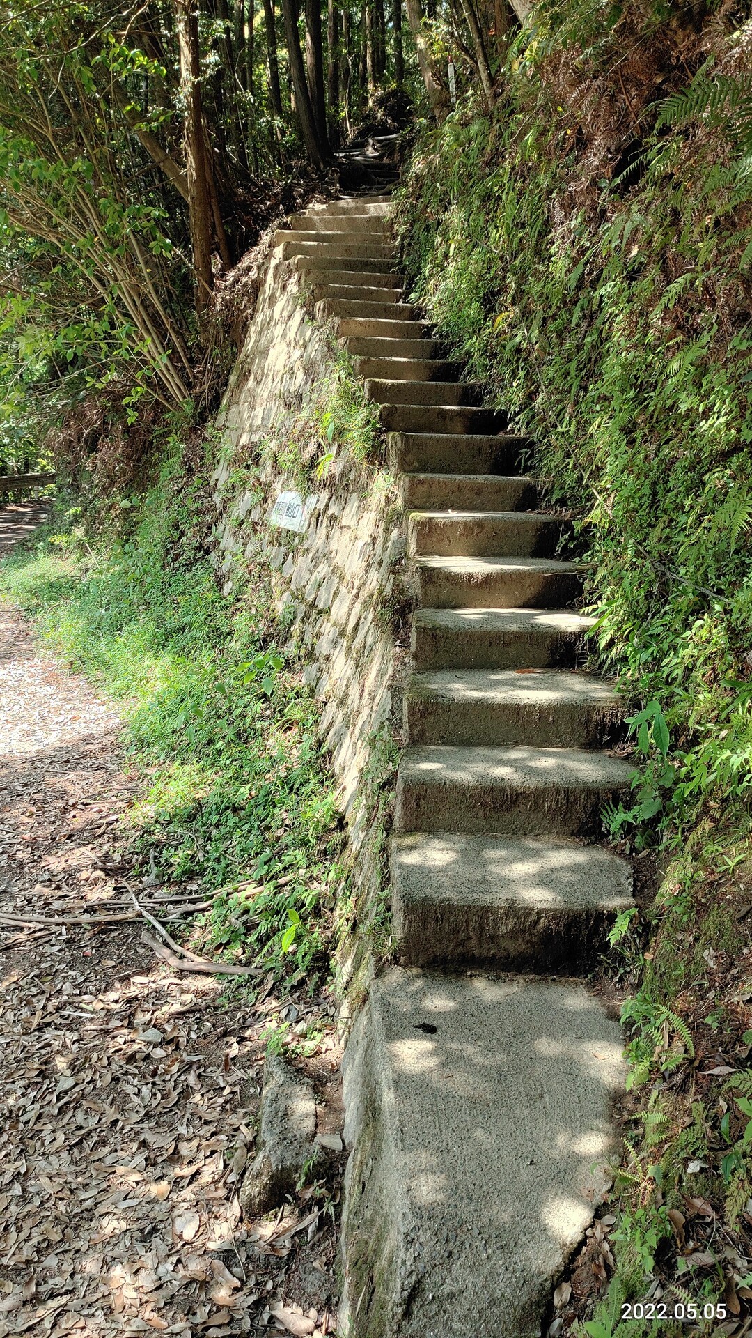 seiさんの投稿したフィールドメモ | YAMAP / ヤマップ