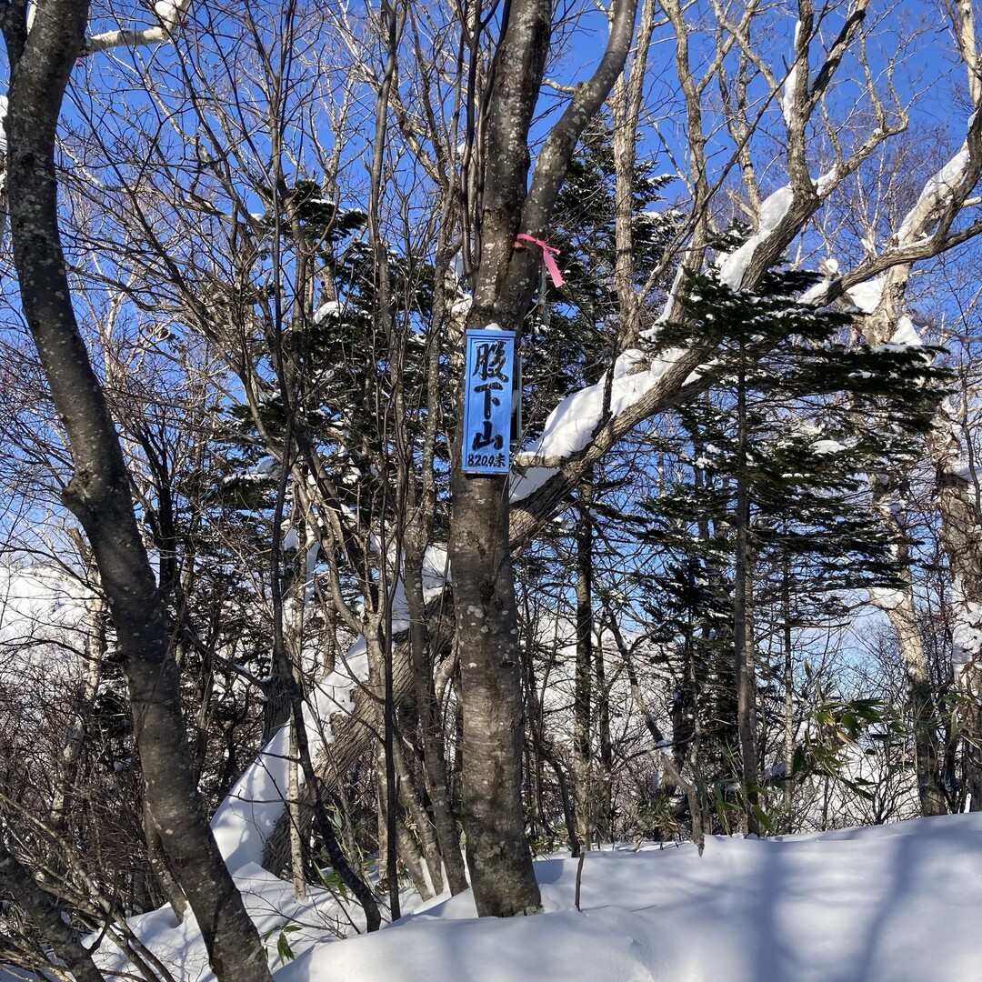 股下山 / TANさんの余市岳・定山渓天狗岳の活動データ | YAMAP / ヤマップ