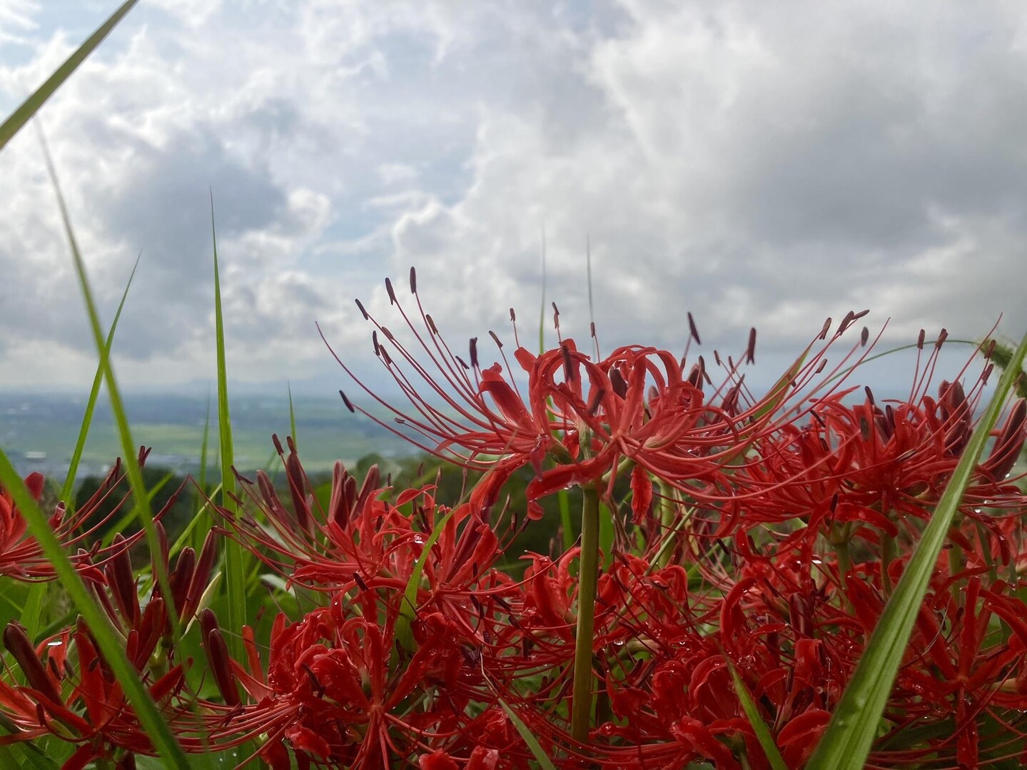 西山三山との戯れ🏃‍♂️ / Naluさんの菩提寺山・高立山・護摩堂山の活動データ | YAMAP / ヤマップ