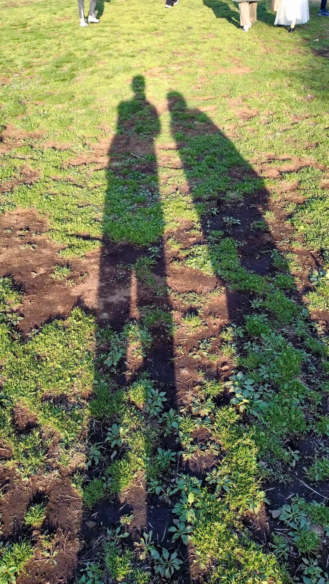 影 / GIさんのモーメント | YAMAP / ヤマップ