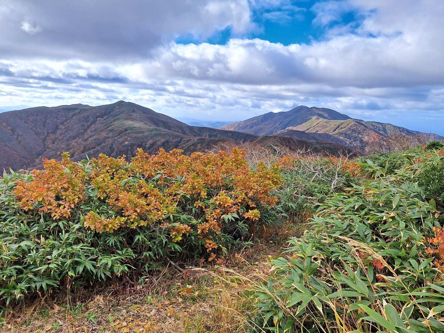 沢尻岳・大荒沢岳 / Ku-minさんの和賀岳・薬師岳・高下岳の活動データ | YAMAP / ヤマップ