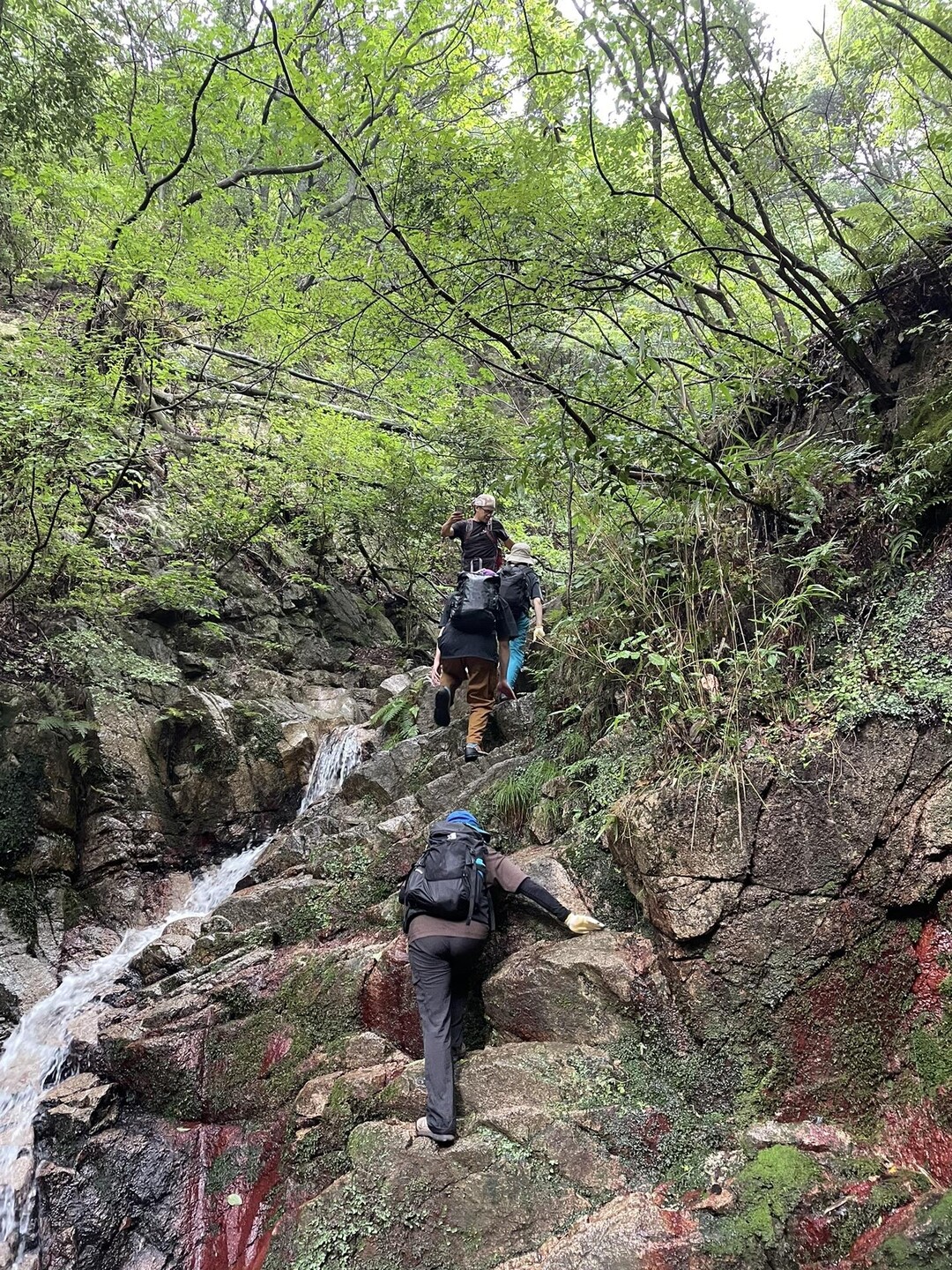 六甲山 / yuukiさんの六甲山・長峰山・摩耶山の活動データ | YAMAP / ヤマップ