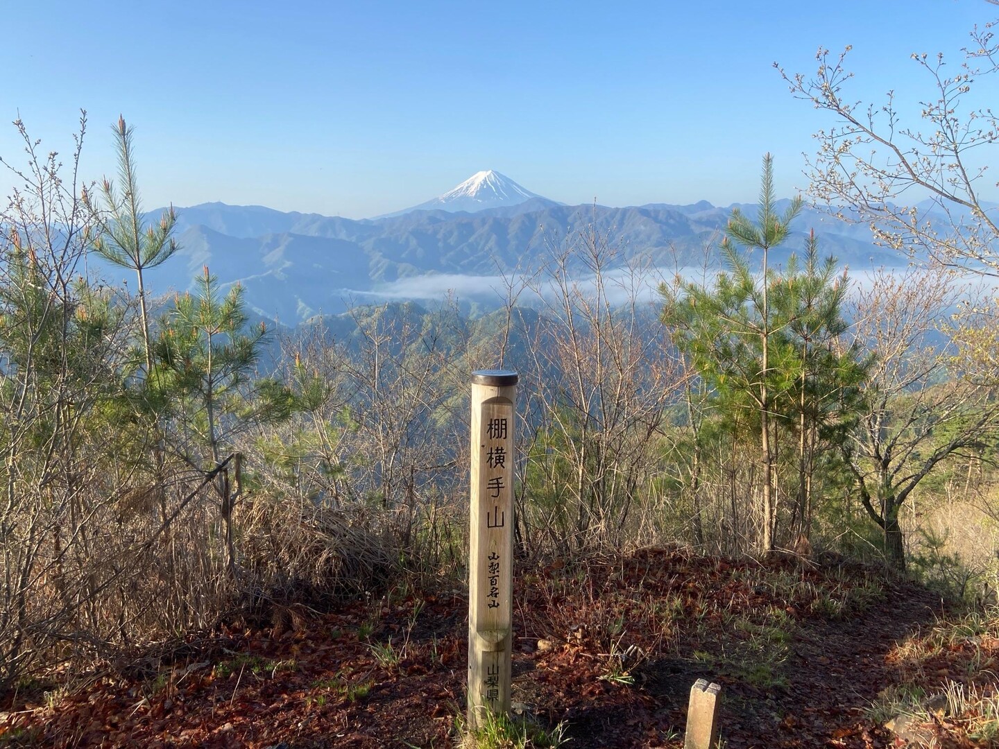 源次郎岳・棚横手山（山梨百名山） / kazu-bayさんの甲州高尾山・宮宕山・源次郎岳の活動データ | YAMAP / ヤマップ
