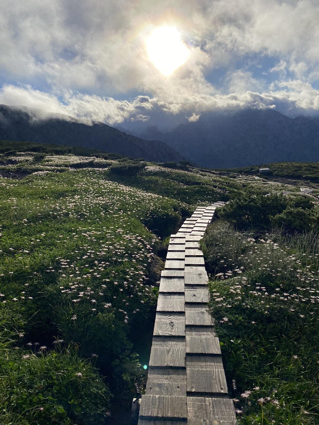 五色ヶ原🏔️夢の世界 / chihoさんの立山・雄山・浄土山の活動データ | YAMAP / ヤマップ