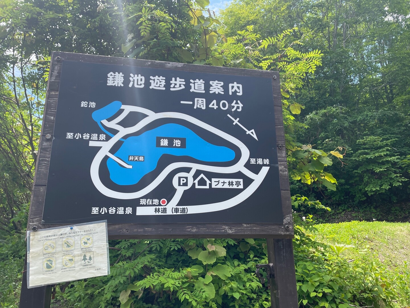 鎌池 / hana356さんの雨飾山・大渚山・天狗原山・戸倉山の活動データ | YAMAP / ヤマップ