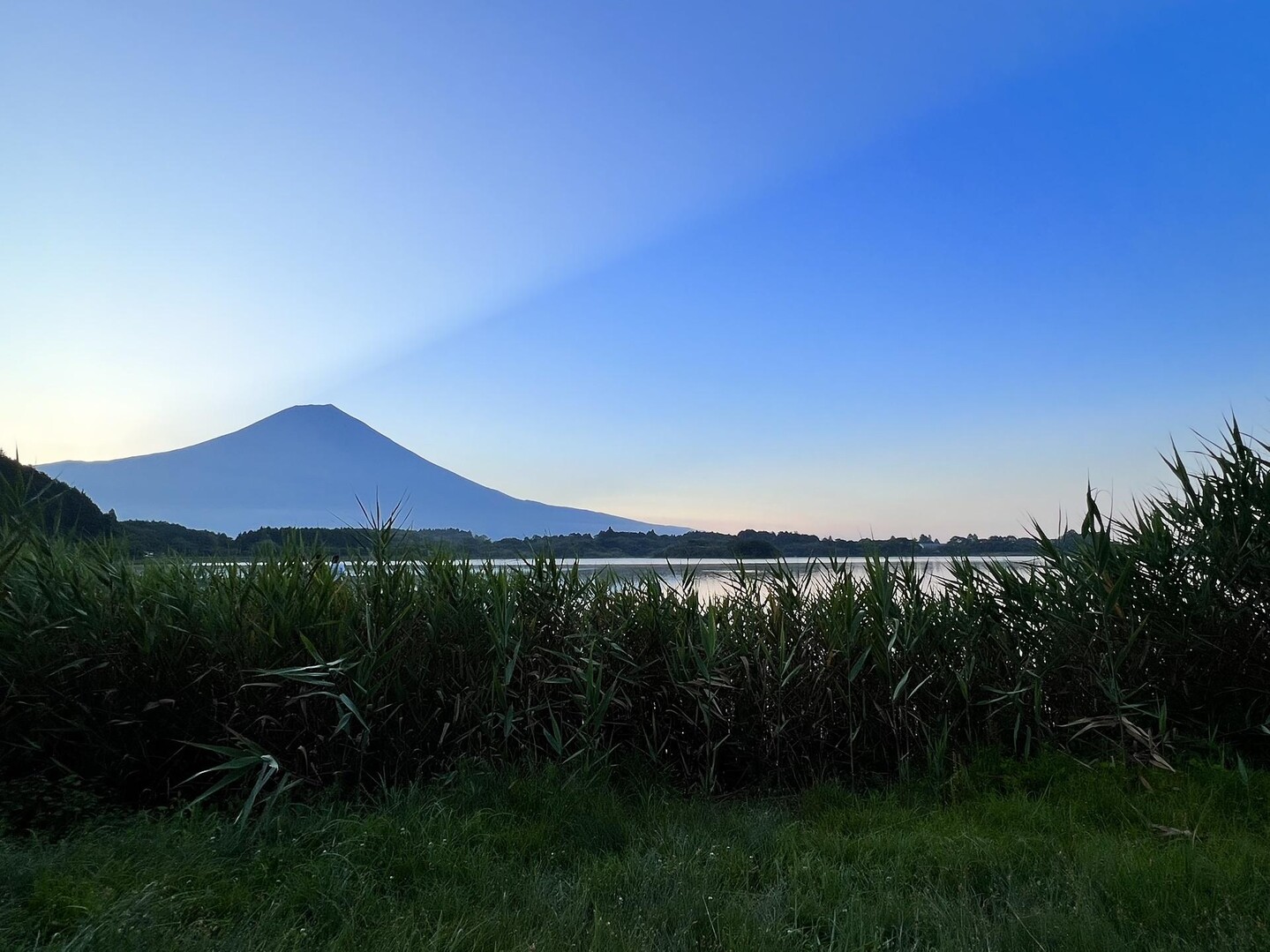 長者ヶ岳 / ZUNさんの長者ヶ岳・天子ヶ岳の活動データ | YAMAP / ヤマップ
