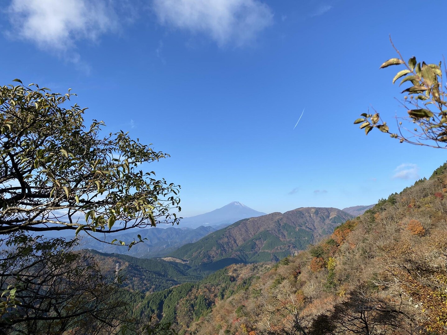 大山 / JOEさんの大山の活動データ | YAMAP / ヤマップ