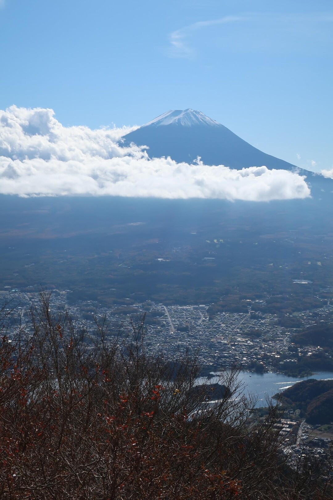 黒岳（御坂黒岳） / ぱぴこぴのさんのFUJISAN LONG TRAIL（御坂・三ツ峠エリア NORTH）の活動データ | YAMAP / ヤマップ