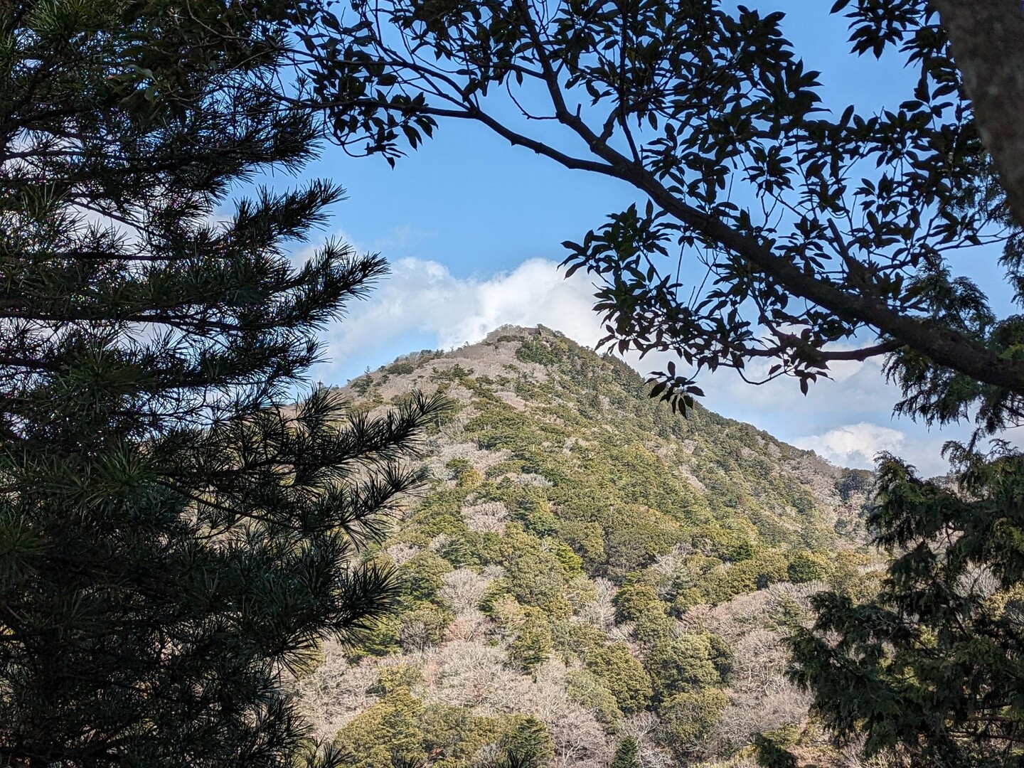 😀法師山💦関西百名山#90・近畿百名山#76 / "satoh"さんの百間山・半作嶺・三ッ森山の活動データ | YAMAP / ヤマップ