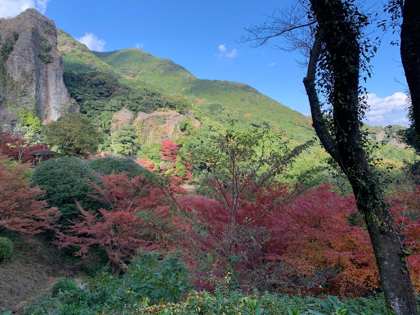 黒髪山 / monさんの黒髪山・青螺山の活動データ | YAMAP / ヤマップ