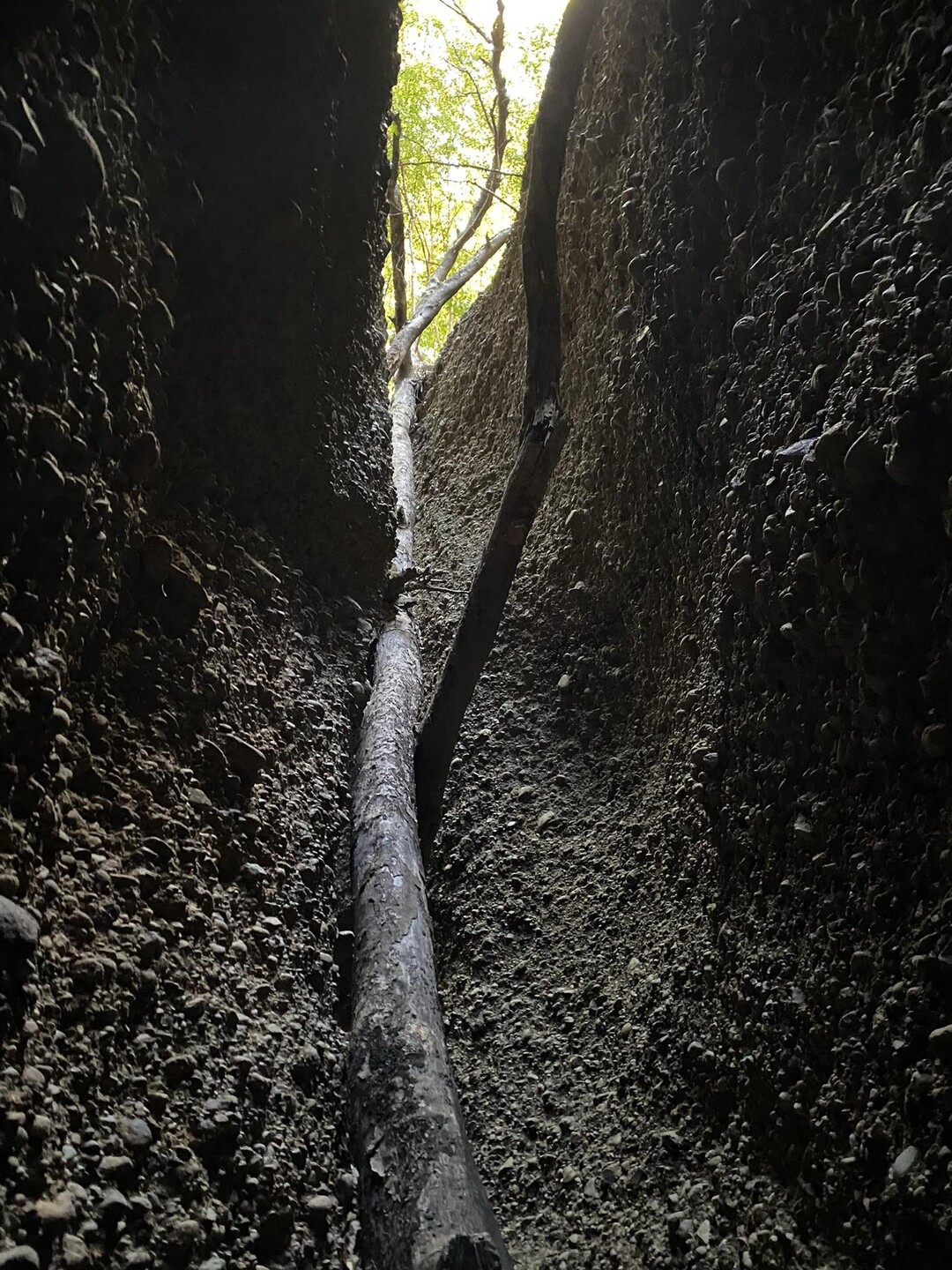 やっと行けた六枚屏風 / ichi-rokuさんの小笠山の活動データ | YAMAP / ヤマップ
