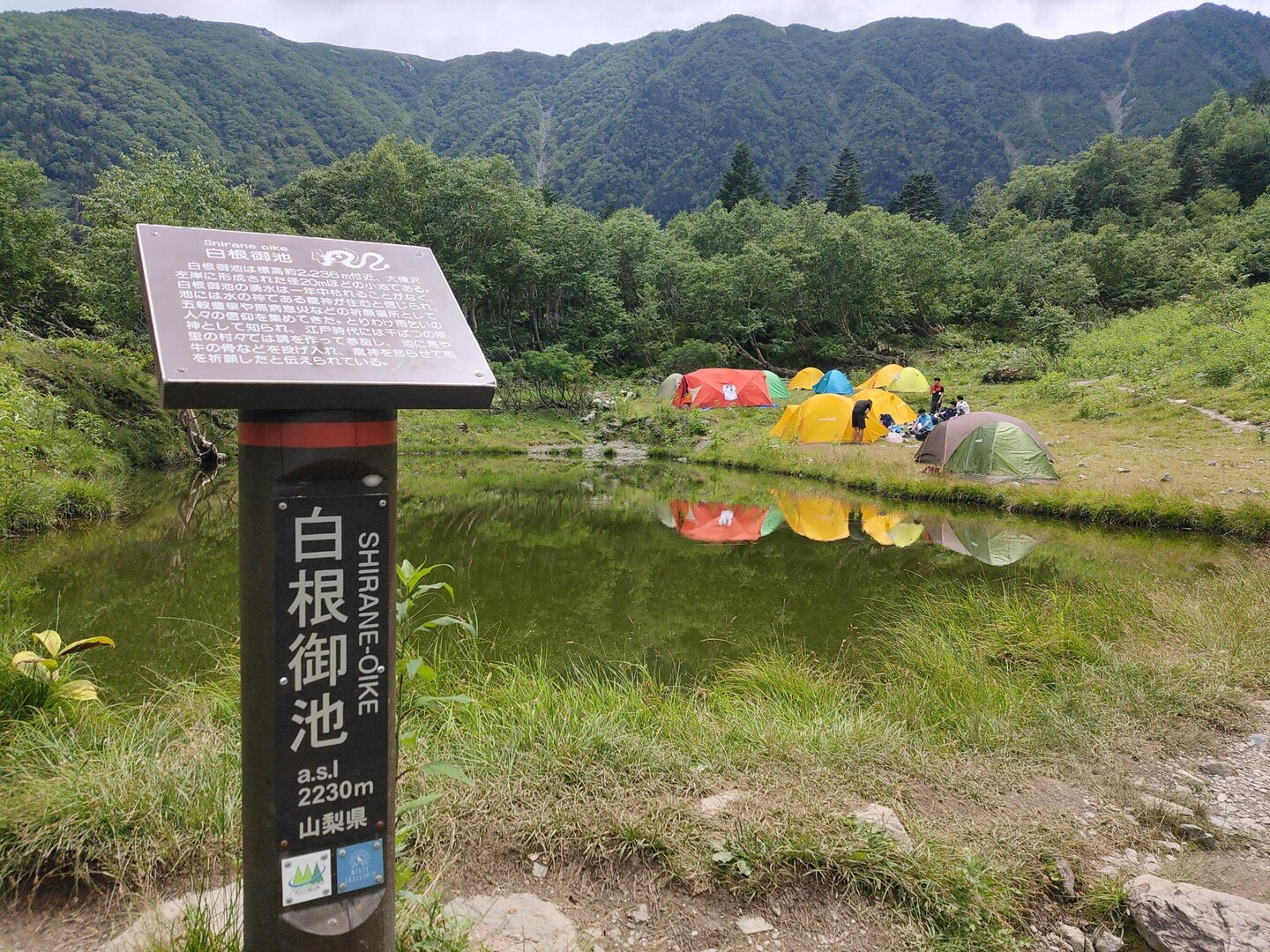 ayumiさんの投稿したフィールドメモ | YAMAP / ヤマップ