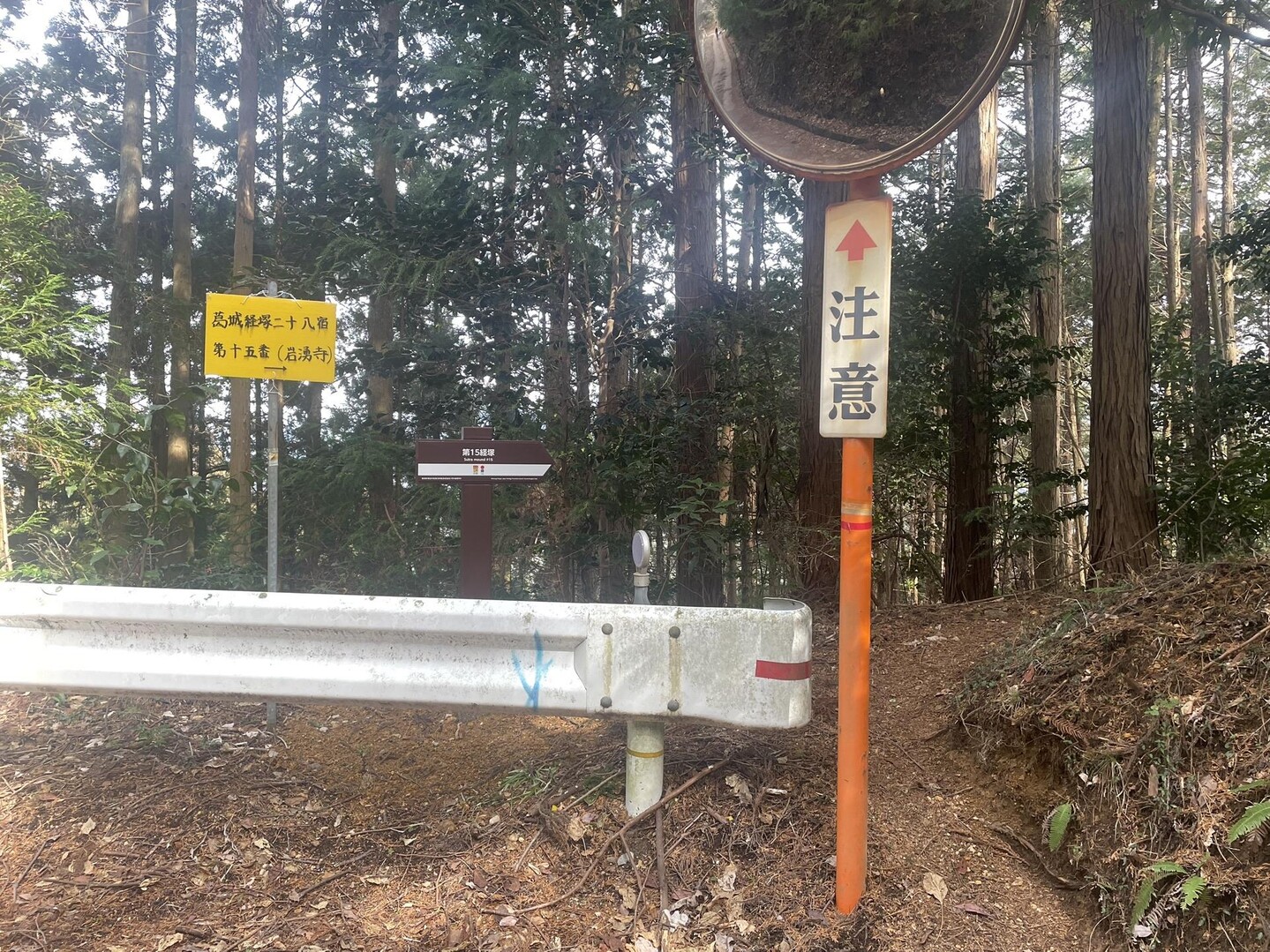 linさんの投稿したフィールドメモ | YAMAP / ヤマップ