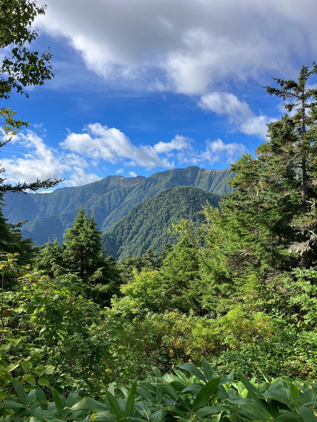 合戦沢の頭・燕岳・大下りノ頭 / Teru iguchiさんの常念岳・大天井岳・燕岳の活動データ | YAMAP / ヤマップ