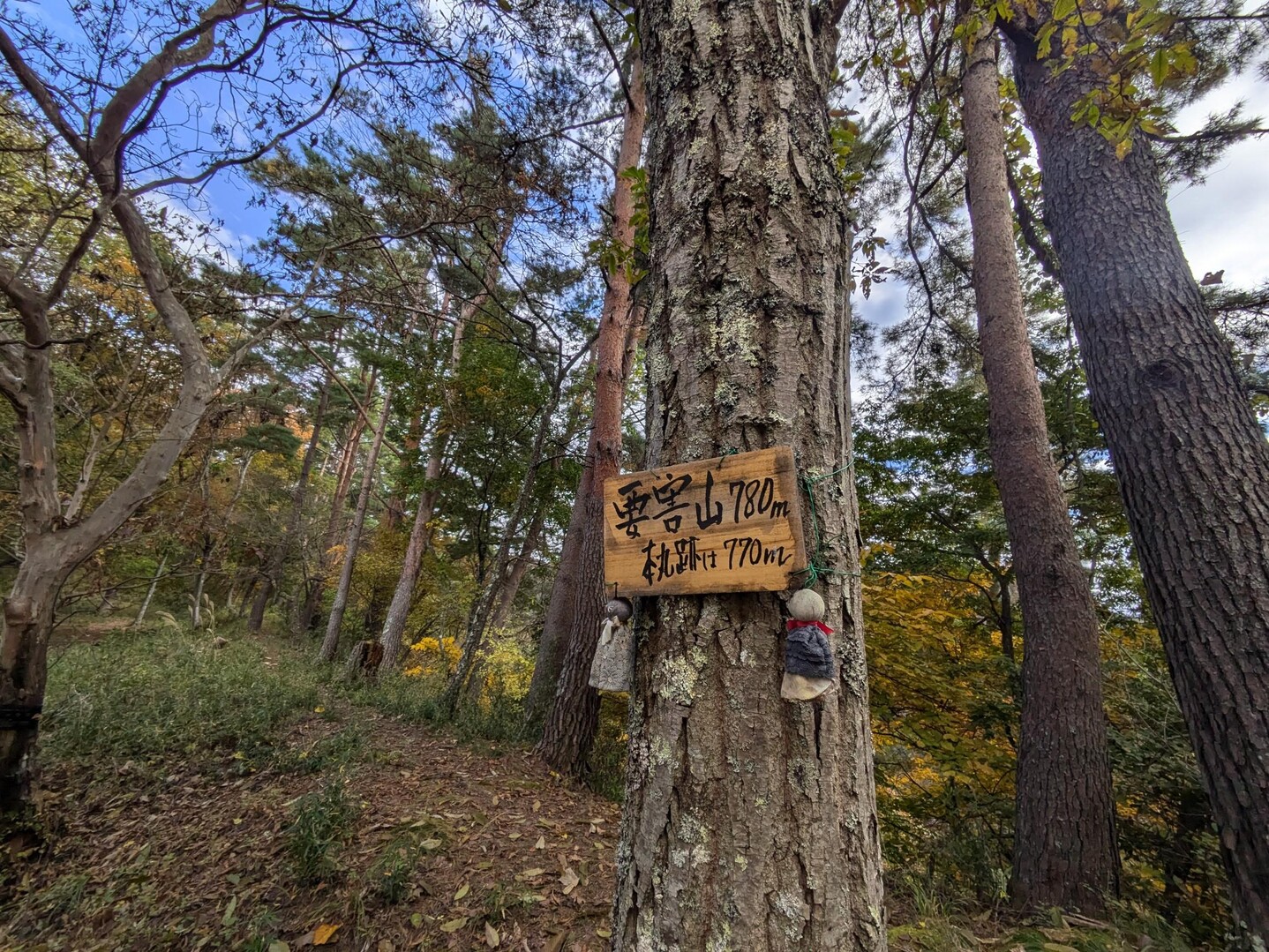 要害山(丸山) / yuyuさんの興因寺山・淡雪山・八王子山の活動日記 | YAMAP / ヤマップ