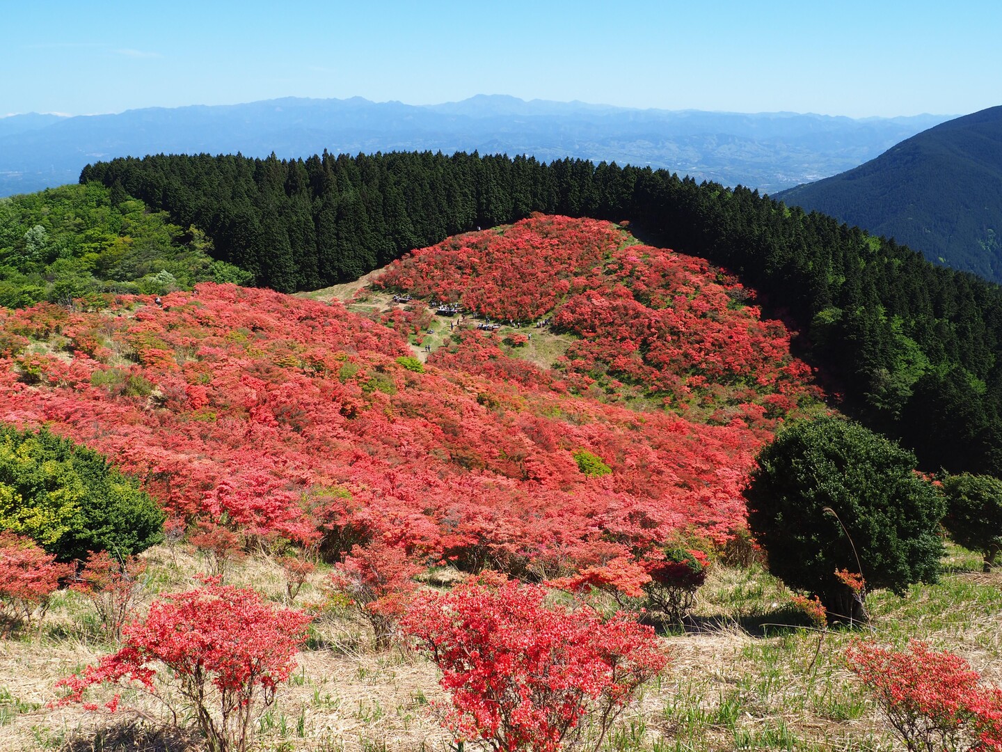 大和葛城山 / N7さんの金剛山・二上山・大和葛城山の活動データ | YAMAP / ヤマップ