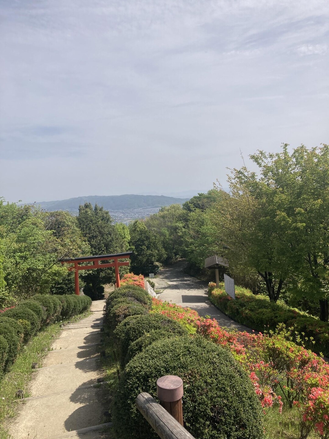 "スキマハイク" 明神山 / annpapaさんの生駒山・神津嶽・大原山の活動データ | YAMAP / ヤマップ