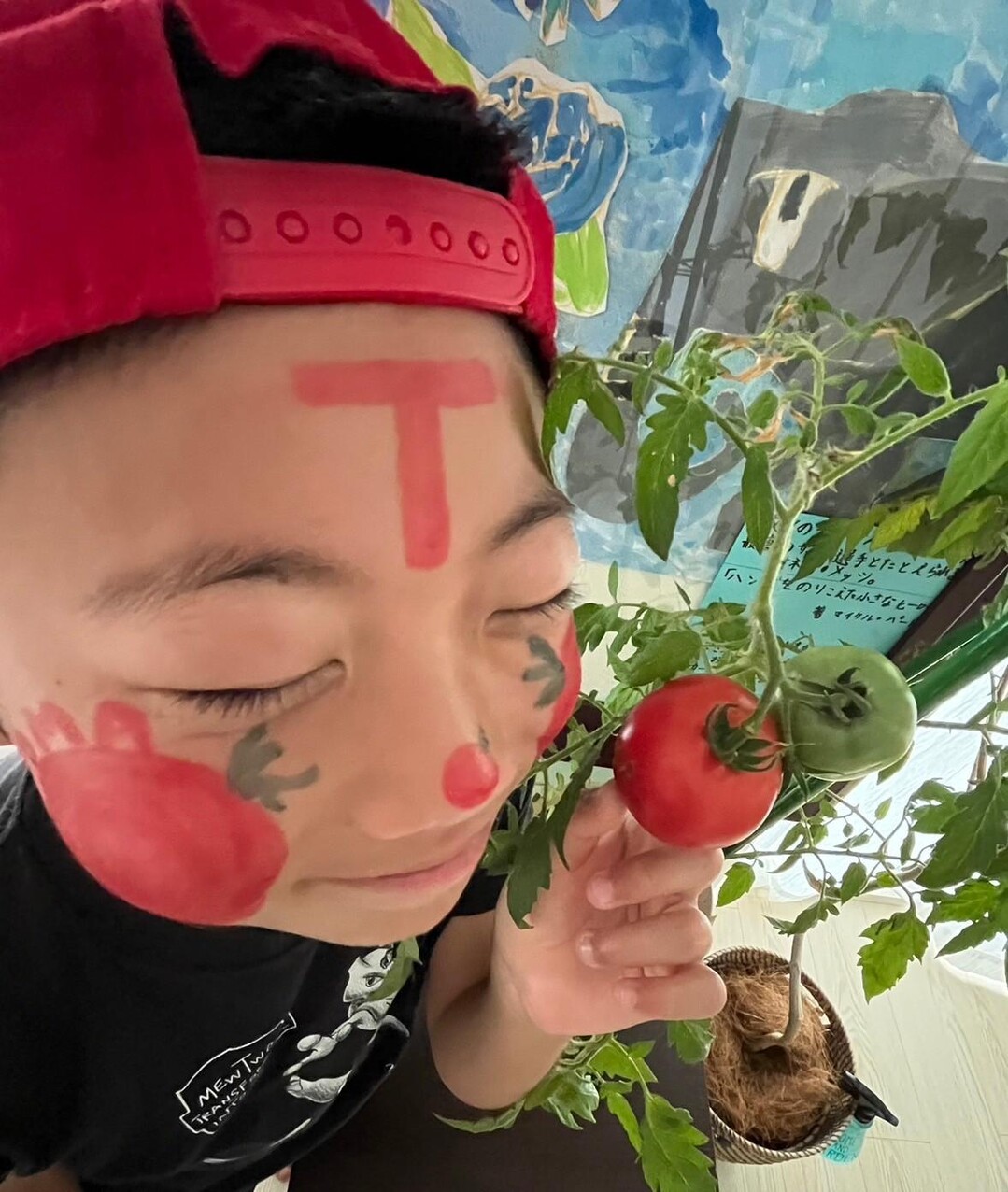 昆布のトマト日記4 左と右TOMATOは... / トレラン犬と昆布茶さんのモーメント | YAMAP / ヤマップ