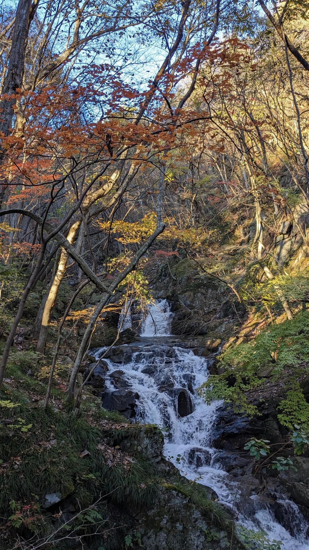 滝川渓谷へ。 / noraさんのモーメント | YAMAP / ヤマップ