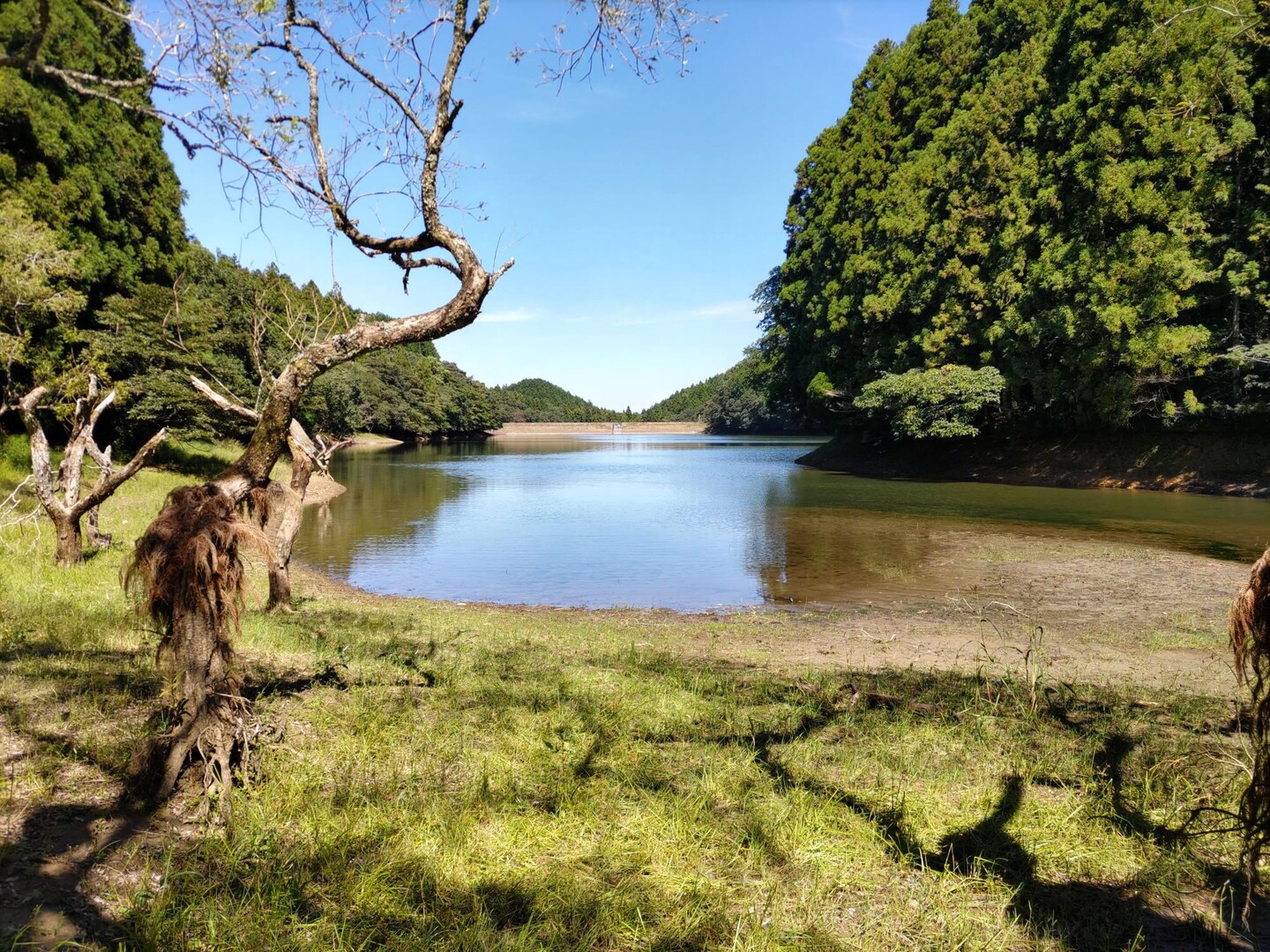 雷山12 / Kazhiさんの雷山・井原山の活動データ | YAMAP / ヤマップ