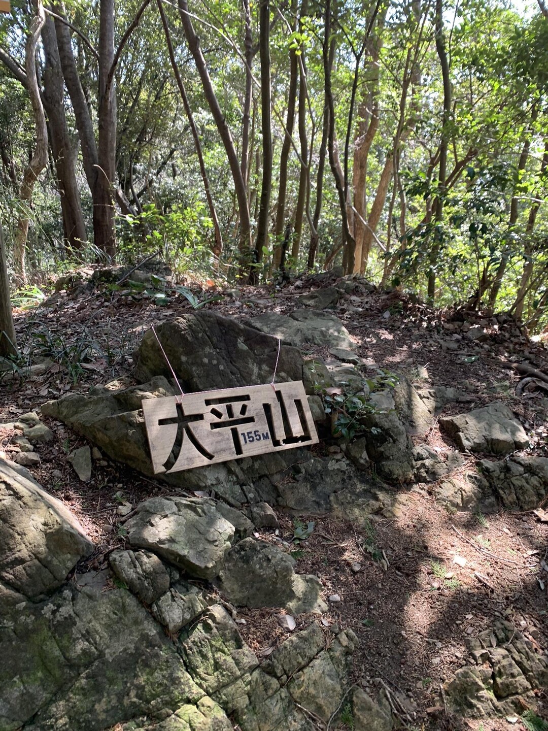 ランニング-2024-03-10 / やまDjさんのランニングの活動データ | YAMAP / ヤマップ