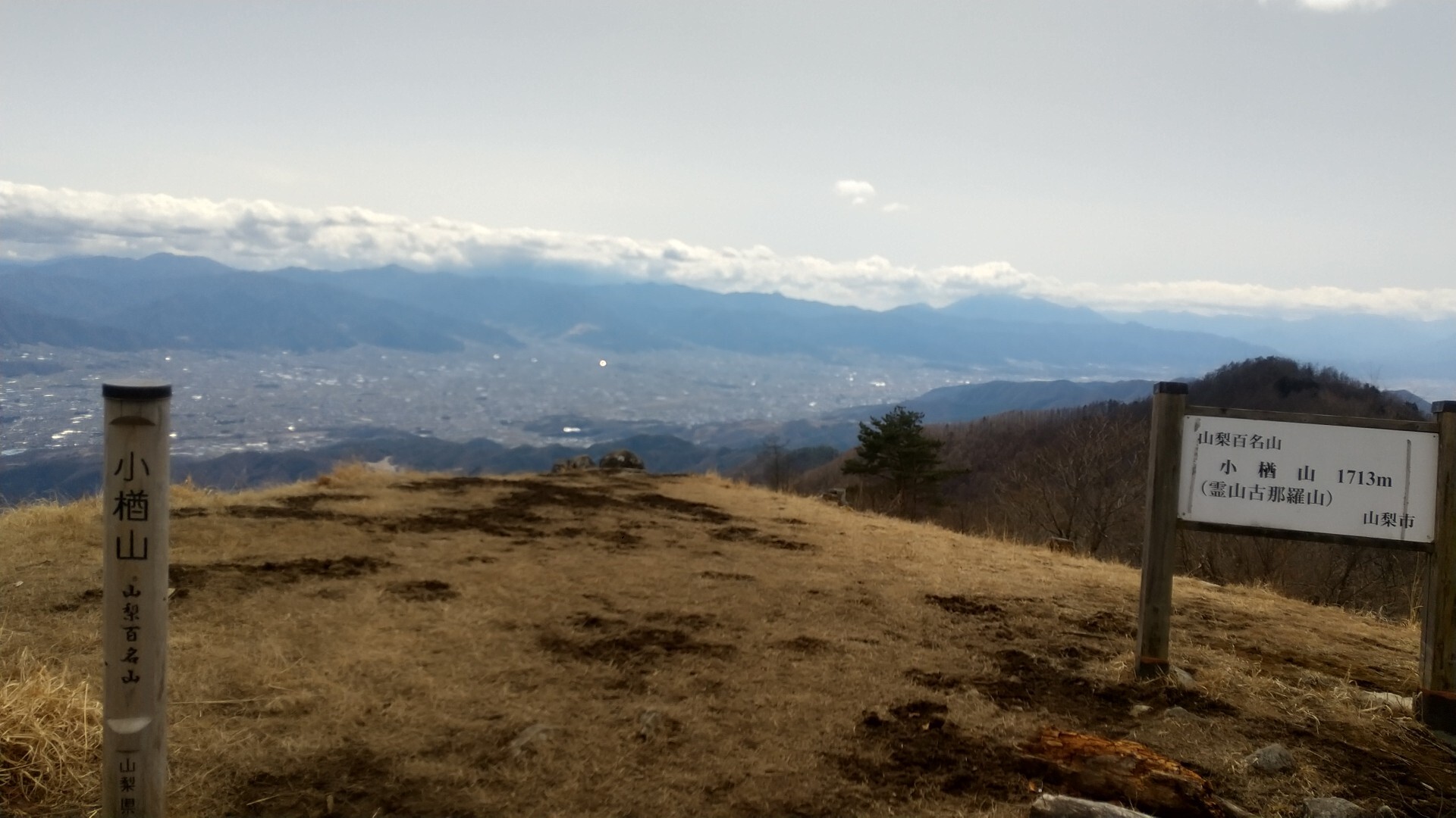 小楢山・大沢ノ頭 / nachaさんの小楢山・妙見山・乙女高原の活動日記 | YAMAP / ヤマップ