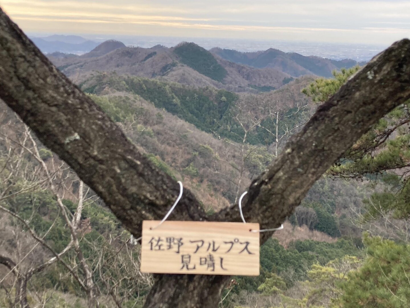 ZEROからのスタート、里で山リハ・プチロング / Yosshyさんの三床山・金原山の活動データ | YAMAP / ヤマップ