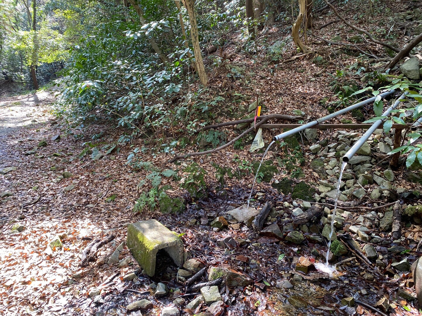 Yujiさんの投稿したフィールドメモ | YAMAP / ヤマップ