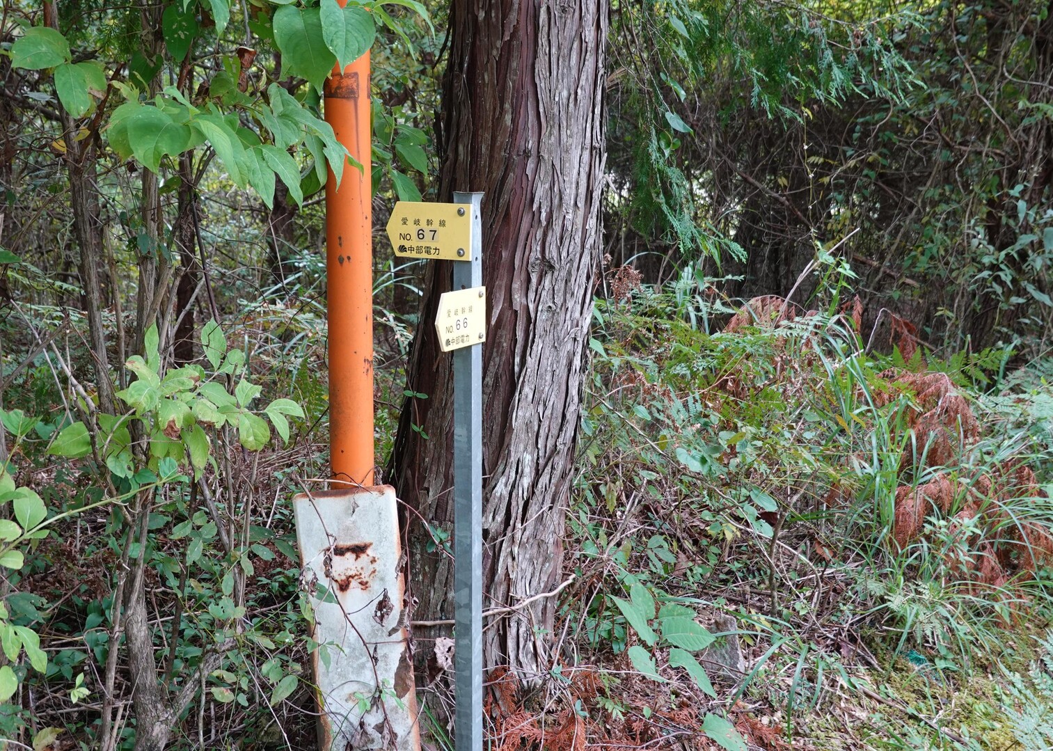 wtaxus わたくさすさんの投稿したフィールドメモ | YAMAP / ヤマップ