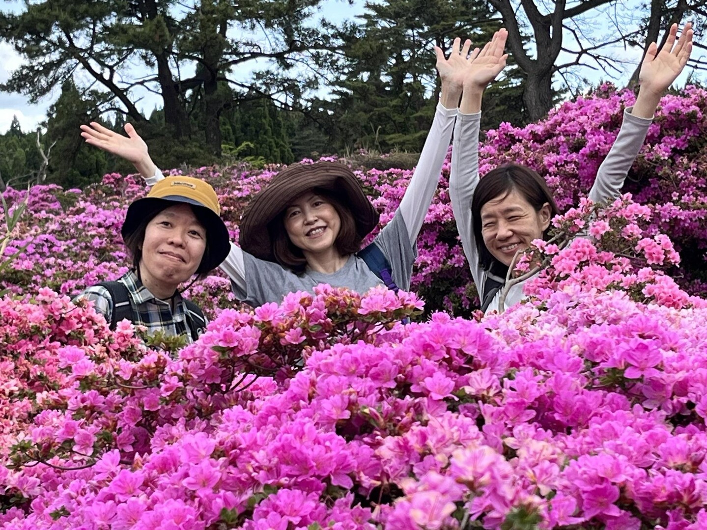 万年山でミヤマキリシマ満喫🌸 / hiroジィジさんの万年山・伐株山の活動データ | YAMAP / ヤマップ