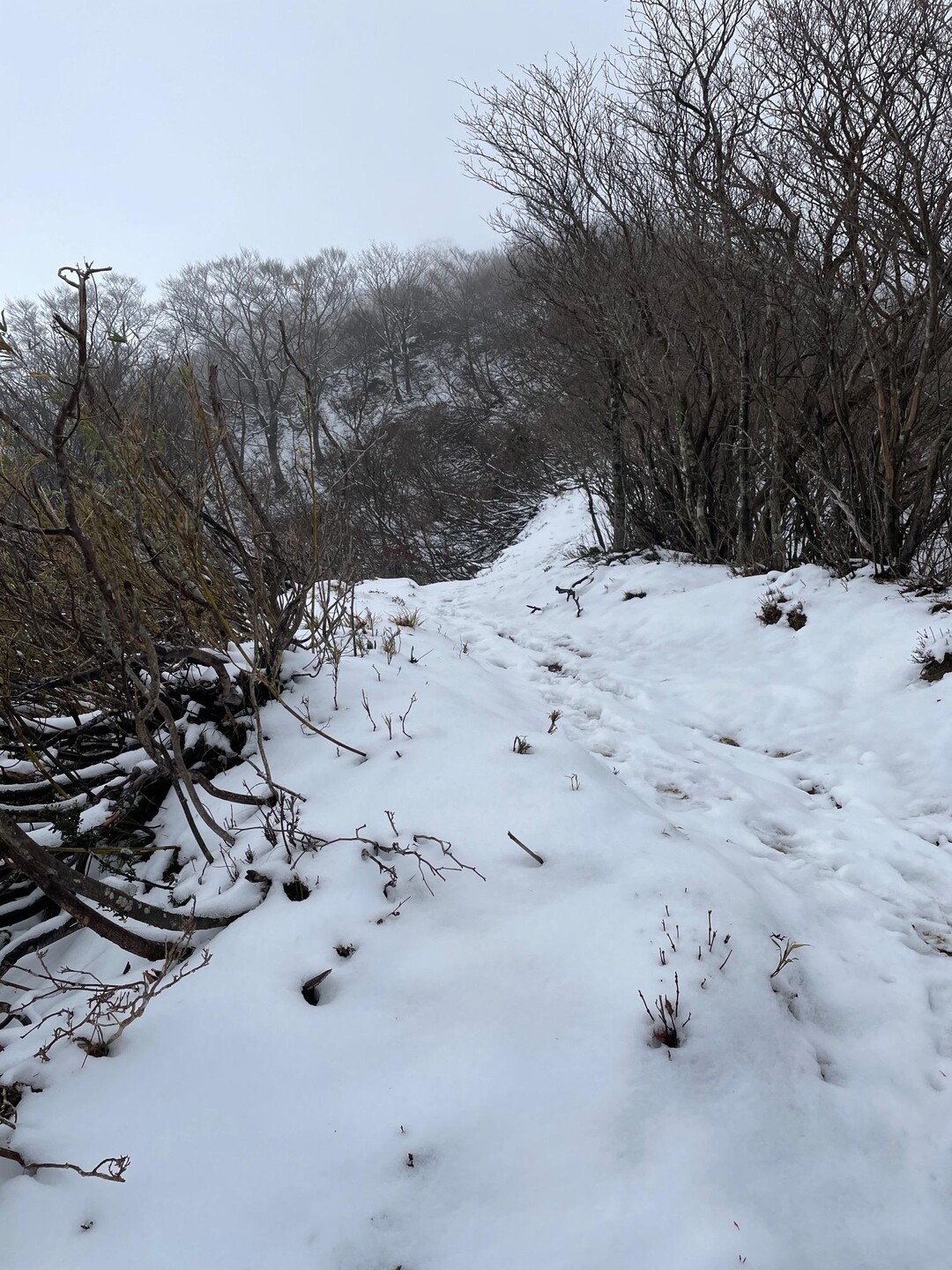 小貝月山 / golfbakaさんの貝月山の活動データ | YAMAP / ヤマップ