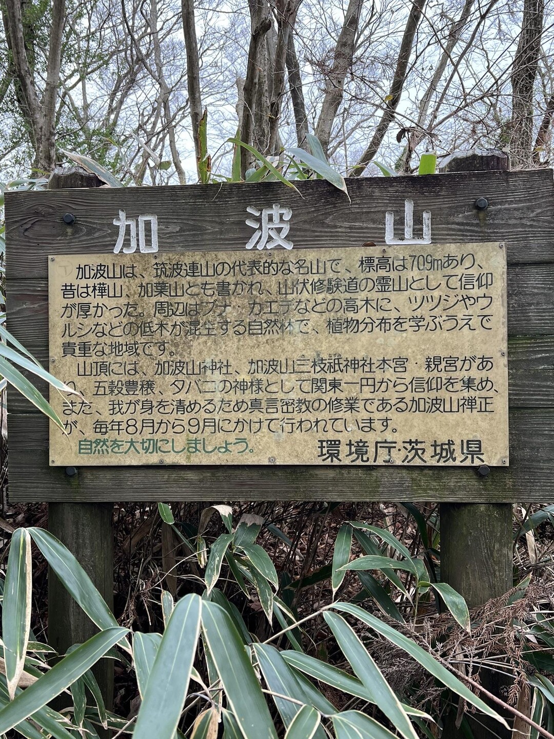 燕山・加波山・丸山 / SHOWさんの加波山・吾国山・難台山の活動データ | YAMAP / ヤマップ