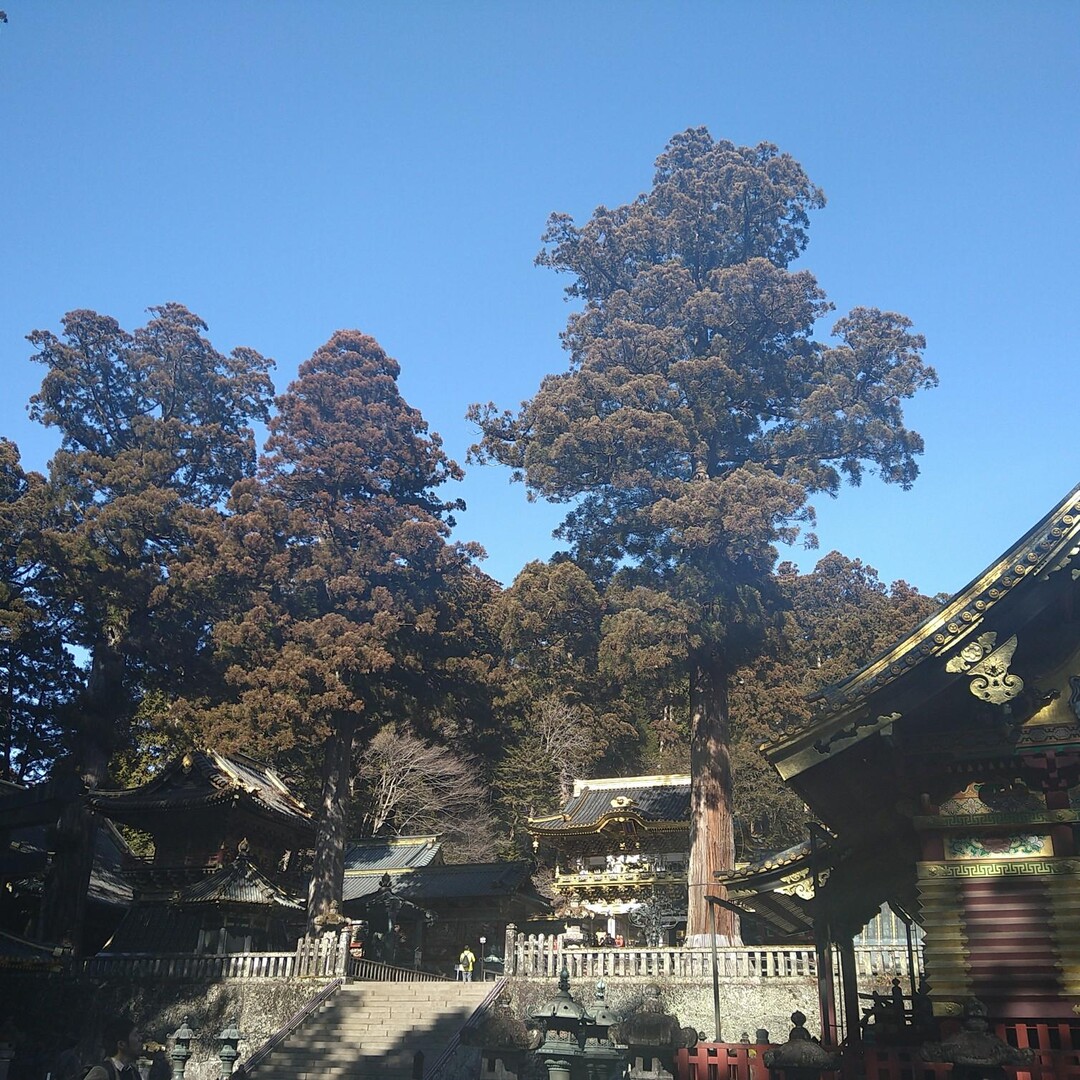 今日は遅めの初詣！がらまきもやってた！ / nyahoさんのモーメント | YAMAP / ヤマップ