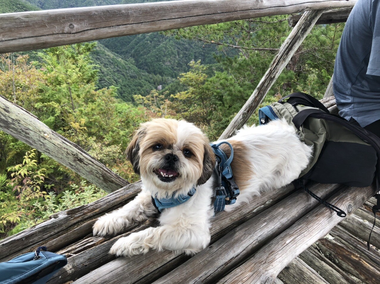 Minaのページ | YAMAP / ヤマップ