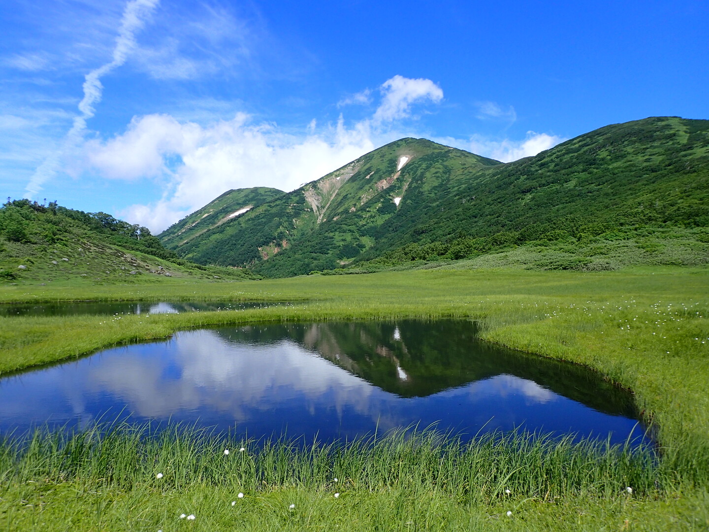 火打山～高層湿原と高山植物の楽園～ / ankamoさんの妙高山・火打山の活動データ | YAMAP / ヤマップ