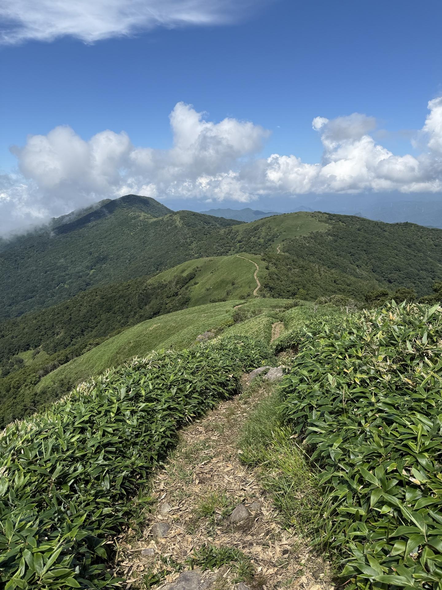 大別当山・八巻山・慈母峰・那岐山・滝山 / monさんの那岐山・滝山・広戸仙の活動データ | YAMAP / ヤマップ
