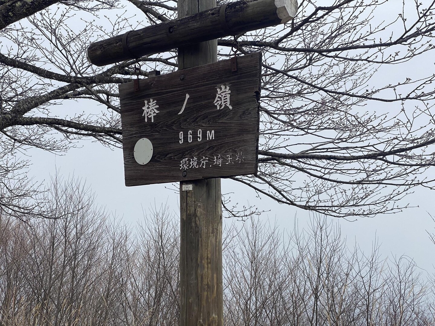 棒ノ嶺（棒ノ折山） / Yuuさんの棒ノ折山（棒ノ嶺）の活動データ | YAMAP / ヤマップ